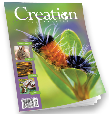 Best Nature Science Magazines | Daily Printed Children's Magazines