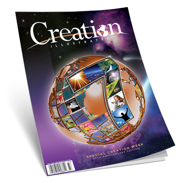 Fall 2023 - Creation Illustrated