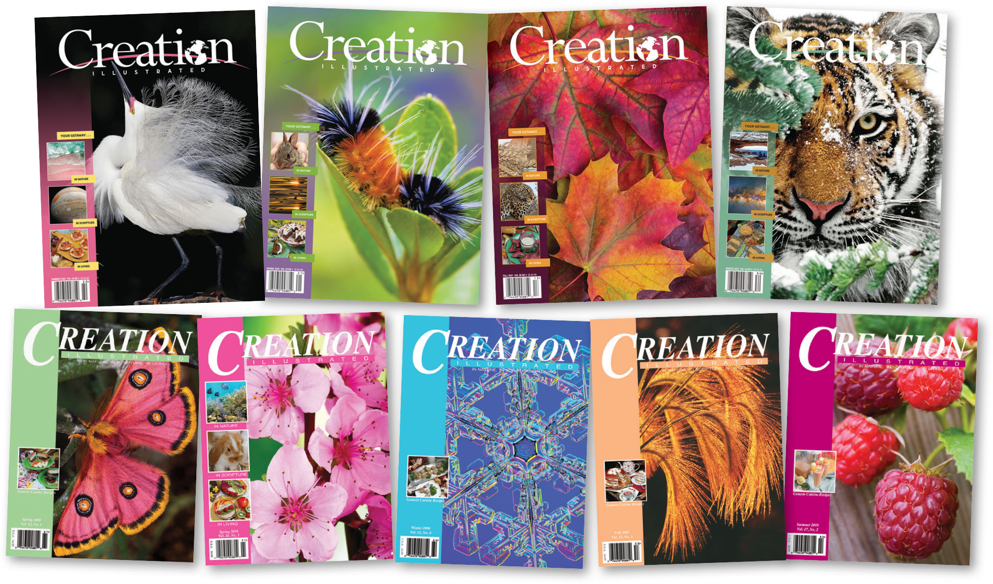 Back Issues - Creation Illustrated