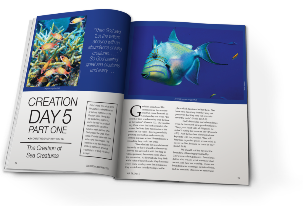 Creation Illustrated magazine subscriptions
