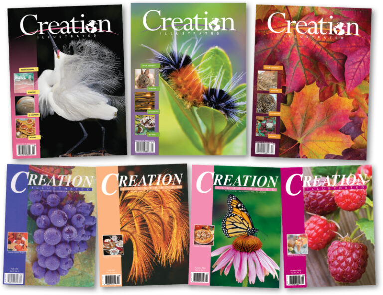Creation Illustrated magazine subscriptions