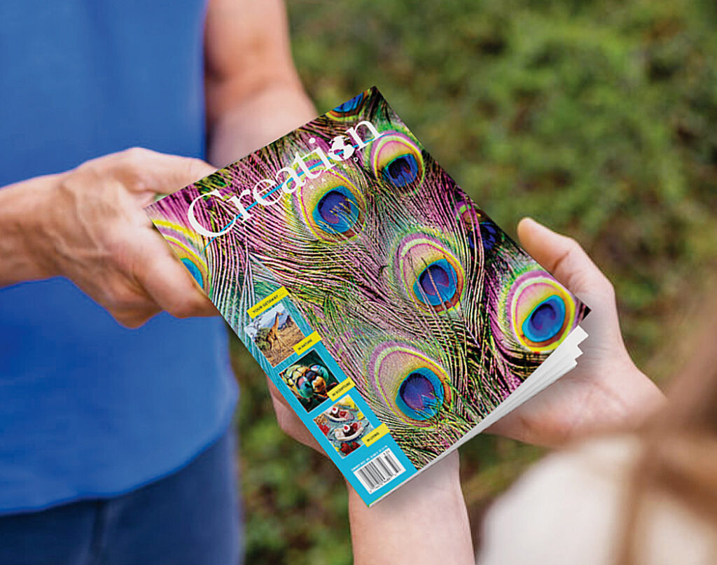 Affiliate Info Page - Creation Illustrated