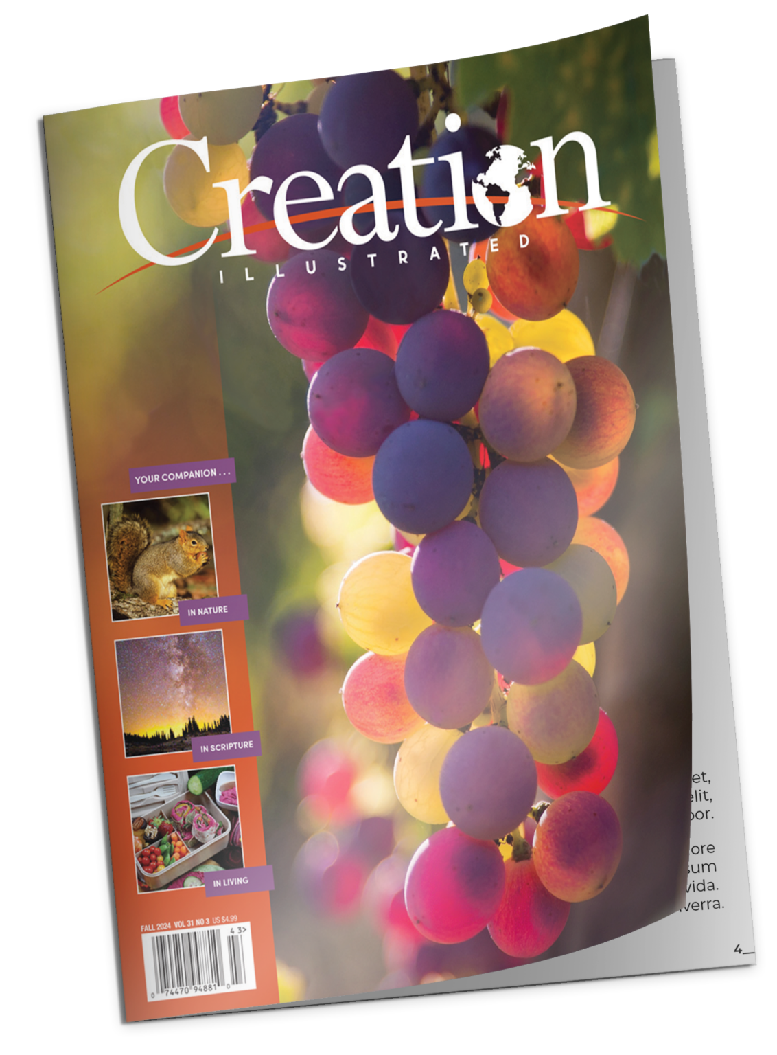 Creation Illustrated magazine subscriptions