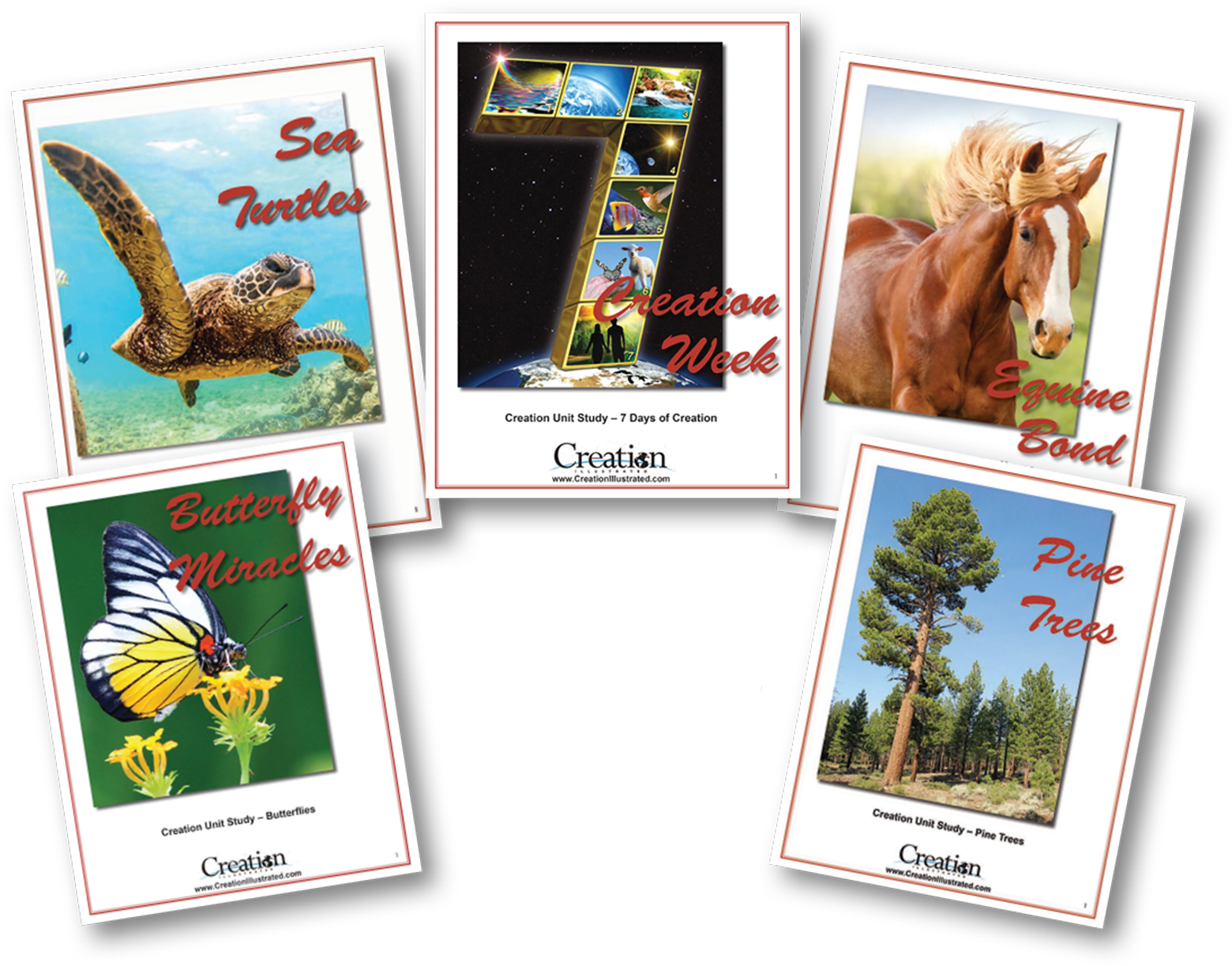 Creation Illustrated magazine subscriptions