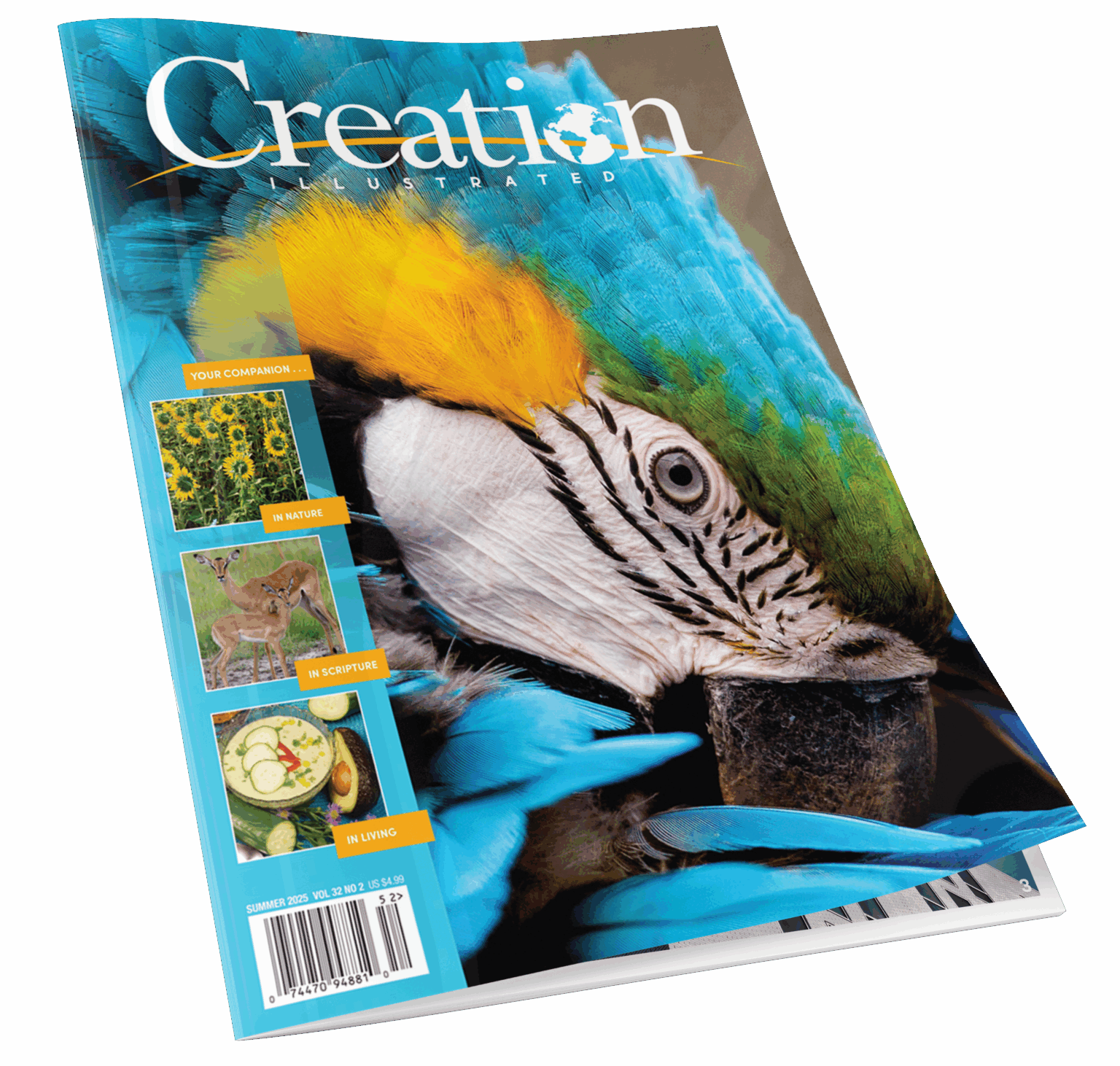 Creation Illustrated magazine subscriptions